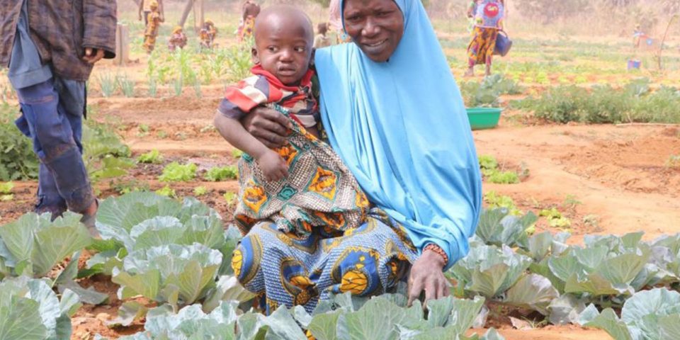 helping-niger - Islamic Relief France